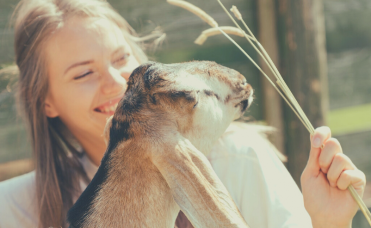 Female vegan activists, you need to know about. • A vegan lifestyle blog